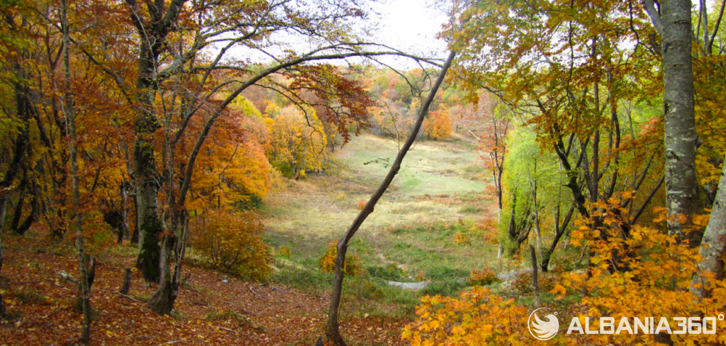 TOP 10 things to do in Dajti (Dye-t) - Albania 360 | Visit Albania