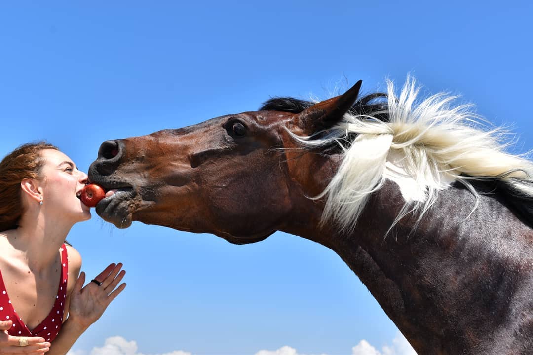 Meet Dorarta Koka: Albania’s Modern-Day Dora The Explorer Conquers ...