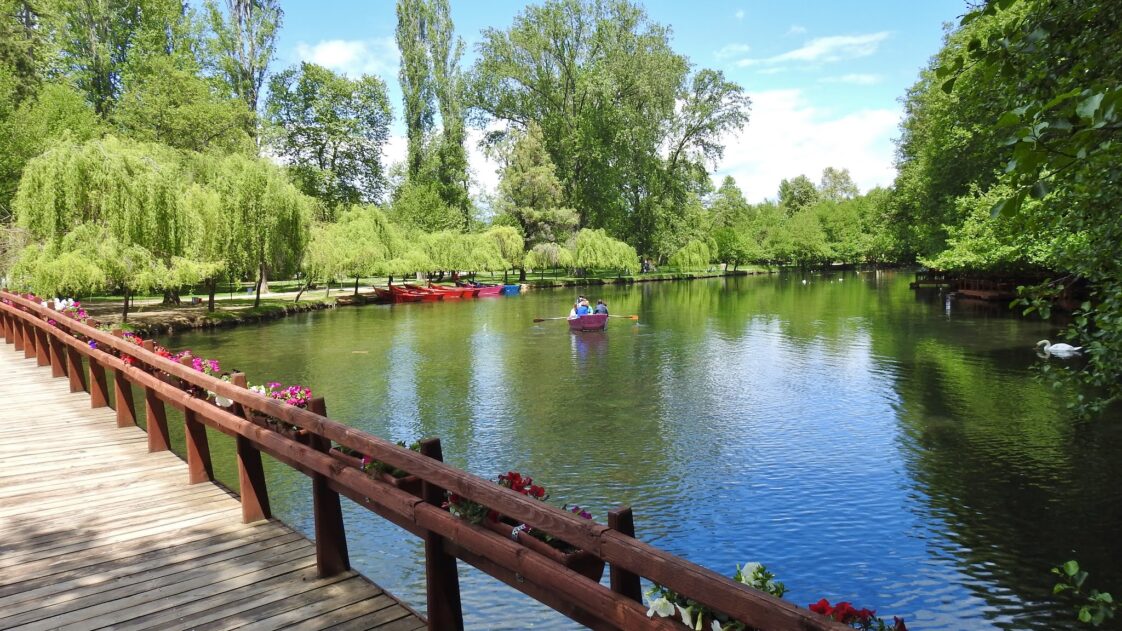 Flamuri Shqiptar - Albania 360
